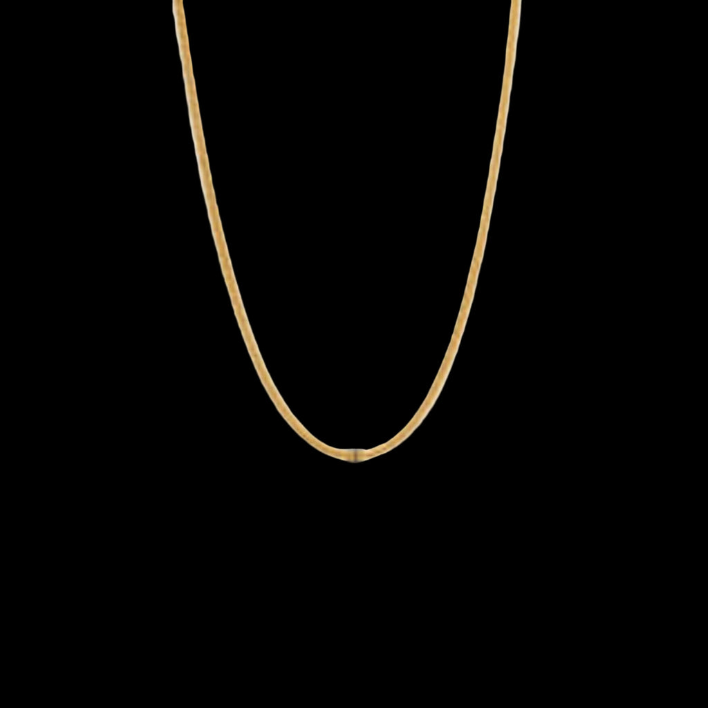Elegant Slim Gold Chain Necklace JLTN1338